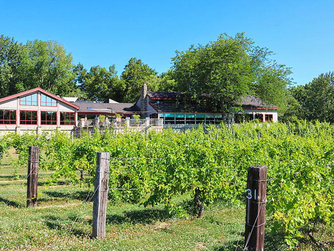 Tabor Hill Winery: Where grapes and greatness collide! This stone-clad beauty promises a tasting experience that's anything but rocky.