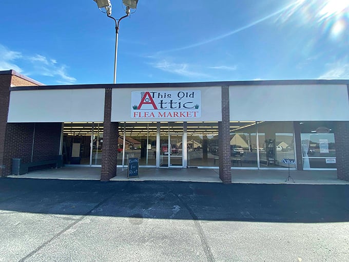 "This Old Attic: Where every purchase comes with a free trip down memory lane."