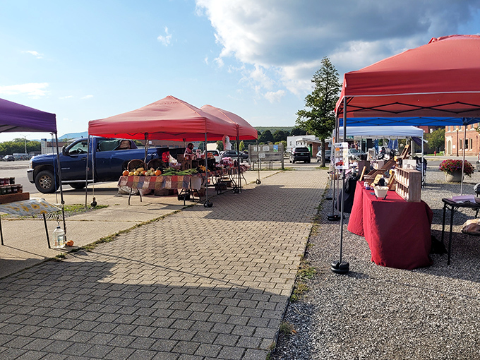 Welcome to the Vermont Farmer's Market in Rutland, where 'locally sourced' isn't just a buzzword, it's a way of life. From farm-fresh veggies to handcrafted goods, it's all here!