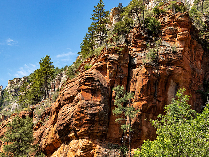 West Fork Trail: Sedona's natural water park! Crisscrossing creeks and towering red rocks make for a hike that's part splash, part spectacle.