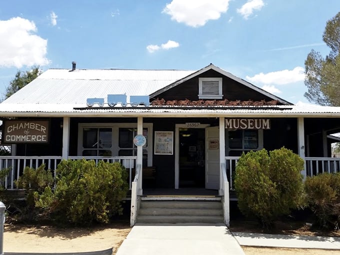 Giddy up to Boron, where this quaint museum celebrates the unsung heroes of the borax boom.