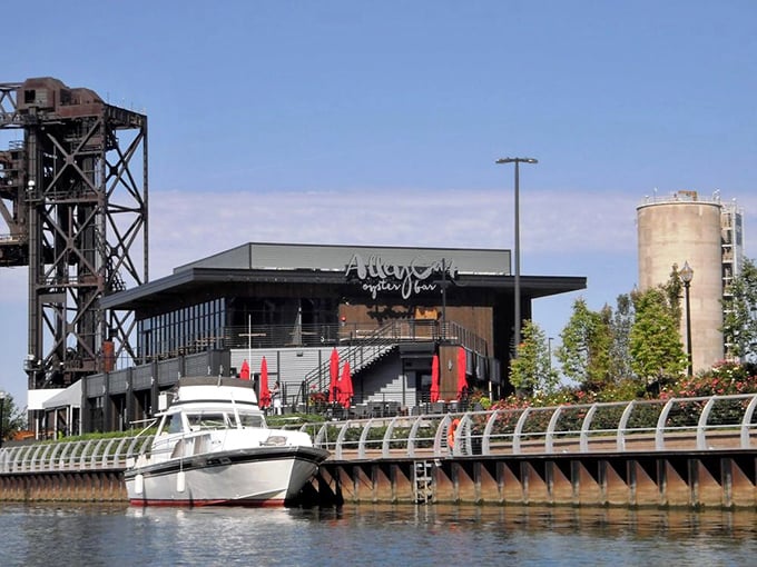 Oysters with a side of skyline, anyone? Alley Cat serves up seafood with a view that's pure Cleveland magic.