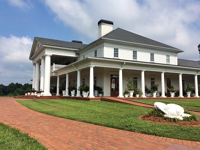Adoption papers at the ready! These leafy 'deliveries' at Babyland General give new meaning to 'eating your vegetables.'