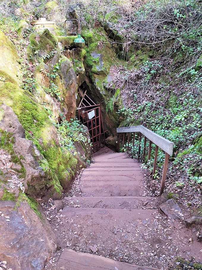 Underground lake so still, it's like nature pressed the pause button. Black Chasm's liquid mirror reflects pure wonder.