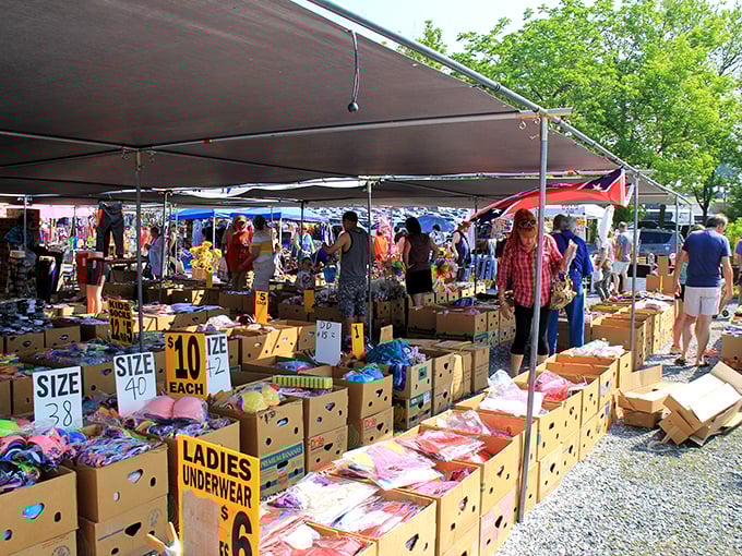 Blue Ridge Flea Market: Where shopping meets socializing. Sunny skies and endless aisles of potential purchases await the intrepid bargain hunter.