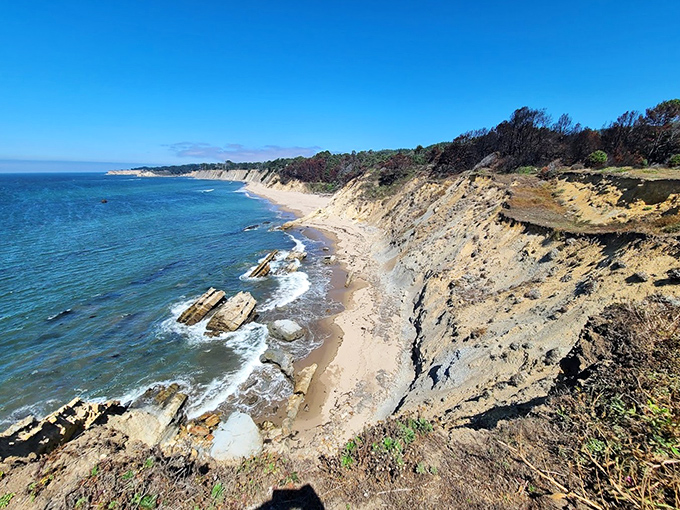Low tide reveals Bowling Ball Beach's quirky charm. It's as if the coast decided to play marbles and forgot to clean up after itself.