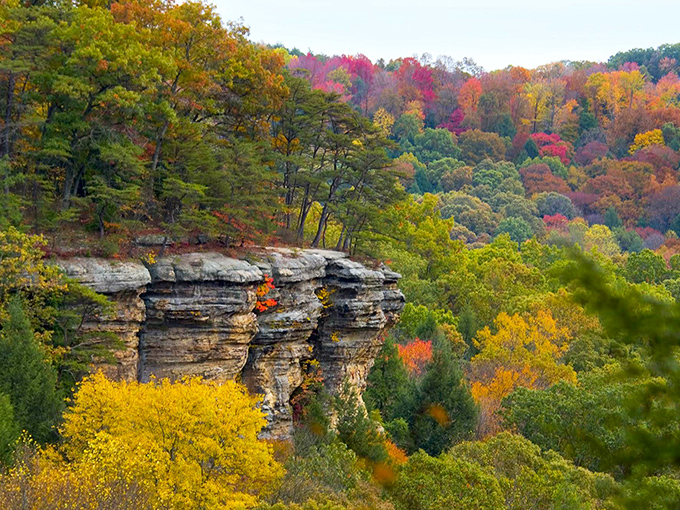 Down in Conkles Hollow, it's Jurassic Park minus the dinosaurs. The ferns are staging a comeback tour, and they're nailing it.