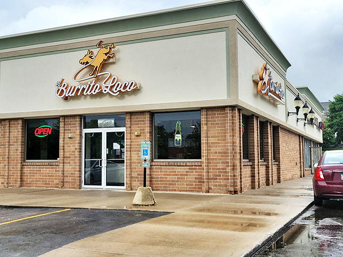 Caution: El Burrito Loco's flavors may cause spontaneous sombrero wearing and impromptu salsa dancing. Embrace the madness!