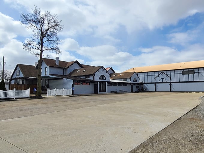 Island vibes in the Buckeye State? Firelands' Isle St. George wines bring a taste of Lake Erie to your glass.