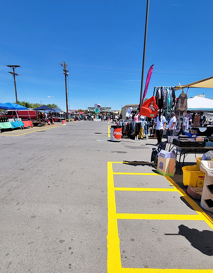 Albuquerque's ultimate weekend warrior destination. Come for the deals, stay for the people-watching and unexpected finds.