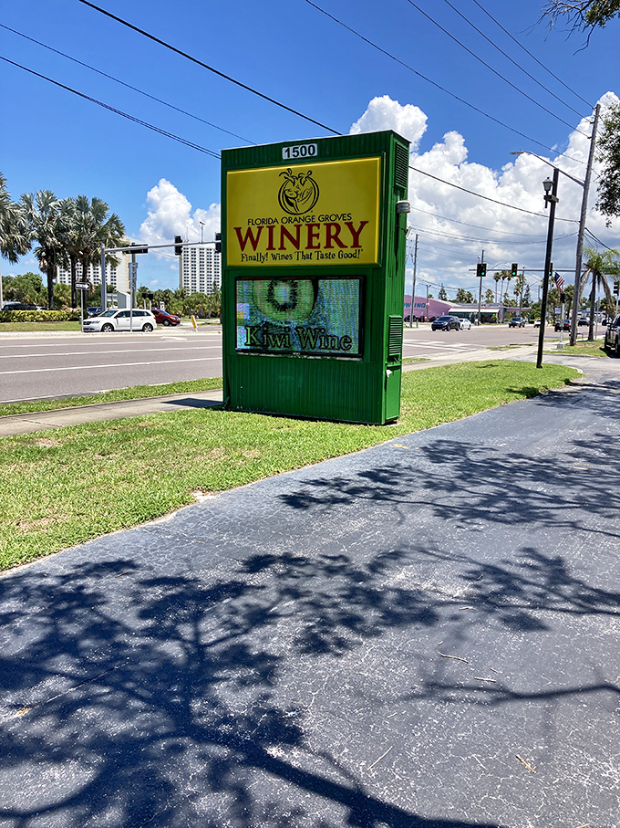 Orange you glad they make wine? Florida Orange Groves Winery is where citrus goes to party after hours.