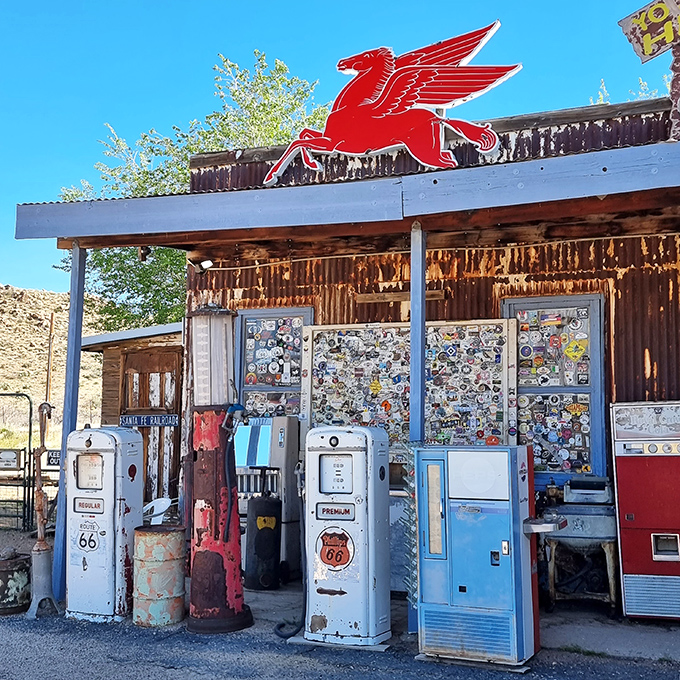 Hackberry General Store: Classic cars, vintage signs, and enough Americana to make Uncle Sam blush. Norman Rockwell would feel right at home!