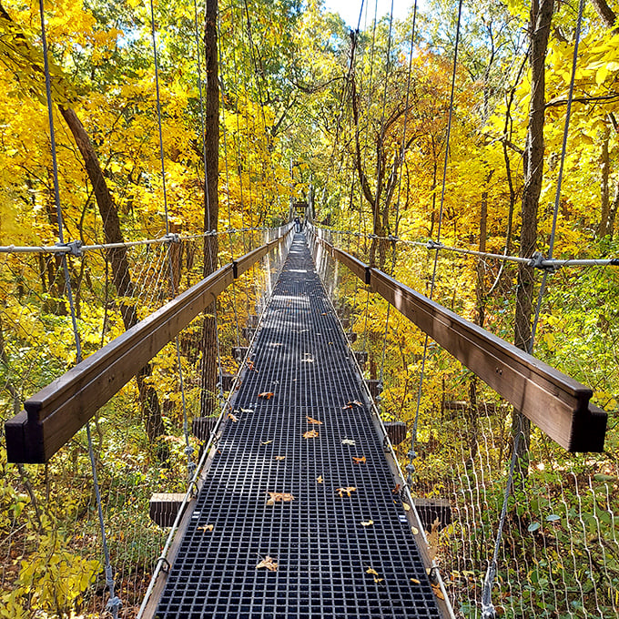 Nature's mirror game. This serene lake reflects the surrounding greenery like a living, breathing landscape painting.