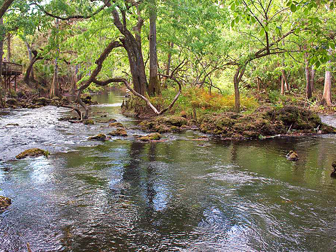 Serenity now! This peaceful river scene is the perfect antidote to modern life &ndash; just don't blame us if you start speaking in haiku.