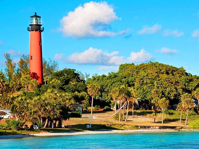 Nature meets nautical history: Jupiter Inlet Lighthouse stands tall, a crimson exclamation point on Florida's lush landscape.