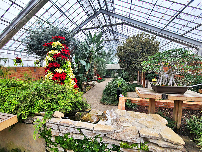 Who needs a time machine? Matthaei's bonsai garden lets you feel like a gentle giant in a miniature ancient forest.