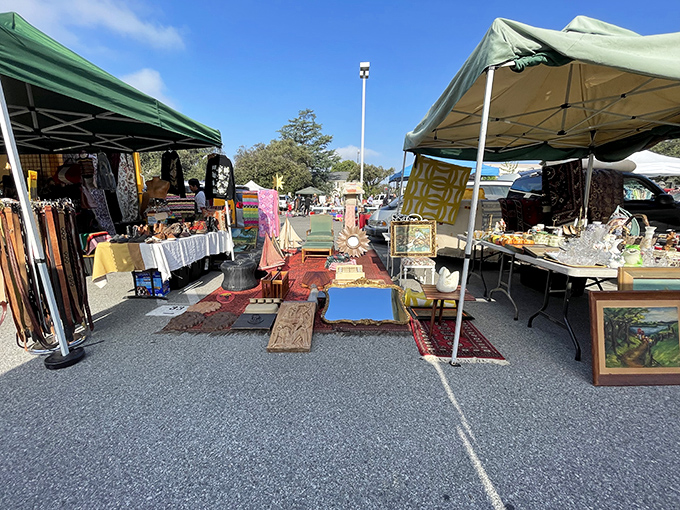 Compact but mighty, PCC's flea market proves good things come in small packages &ndash; especially when it's vintage!