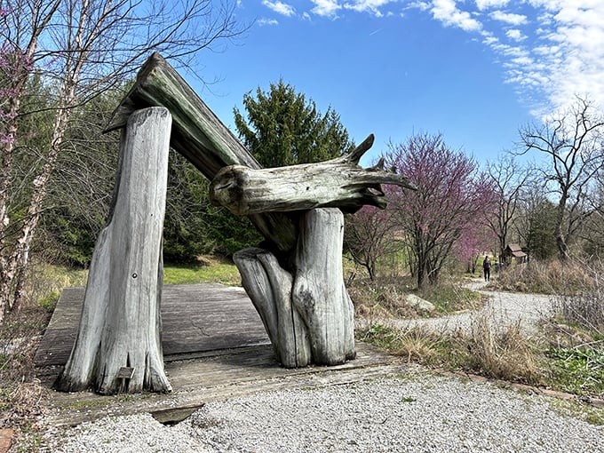 Pyramid Hill Sculpture Park: Where colossal creativity meets the great outdoors. Prepare for a hike through a landscape where art and nature collide in monumental proportions.