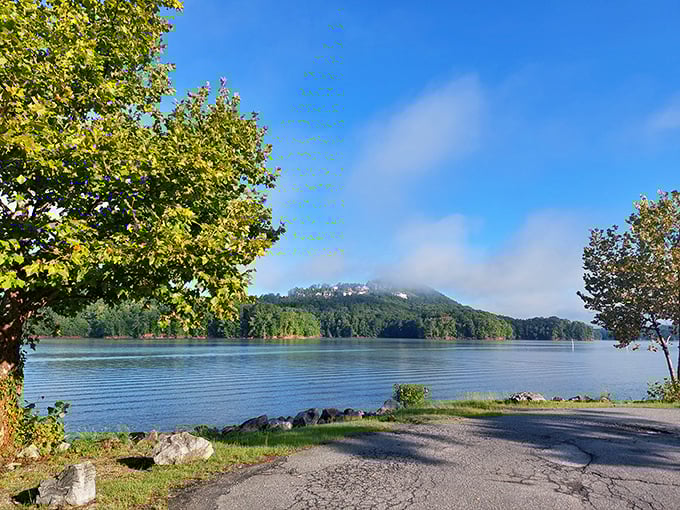 The lake stretches out like a mirror, reflecting the sky and surrounding forest. Red Top Mountain: where "beach day" meets "mountain getaway" in perfect harmony.