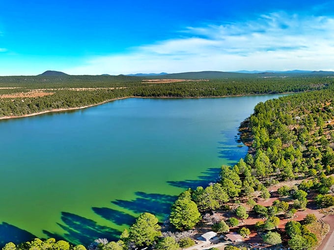 Lakes, streams, and more green than you thought possible in Arizona. Show Low is like a postcard come to life.