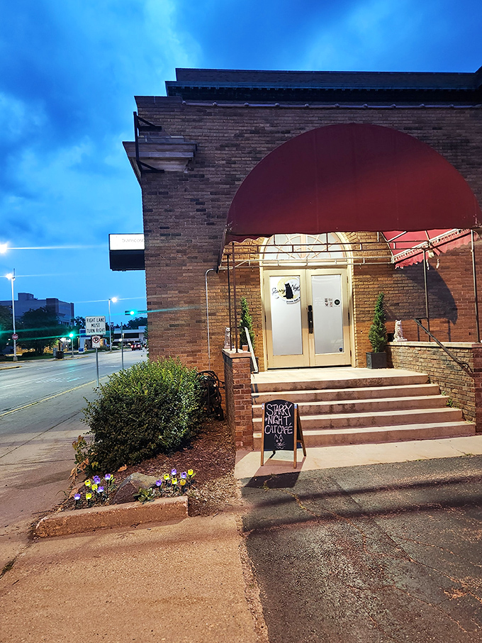 Starry Night by night: It's like stepping into a cozy painting, but with more purring and less post-impressionist angst.