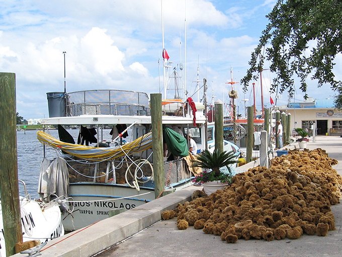 Tarpon Springs Sponge Docks: Where "The Little Mermaid" meets "My Big Fat Greek Wedding." Dive into culture &ndash; no fins required!
