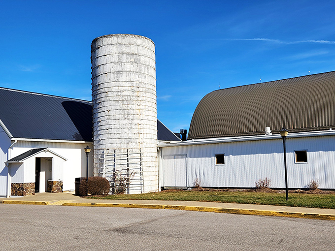 "Forget Old MacDonald, this barn's got a feast! E-I-E-I-Oh my, look at that steak!"