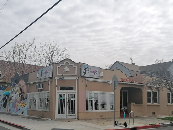 Who needs Silicon Valley when you can have Silky Fur Valley? This cat cafe is the ultimate tech detox.