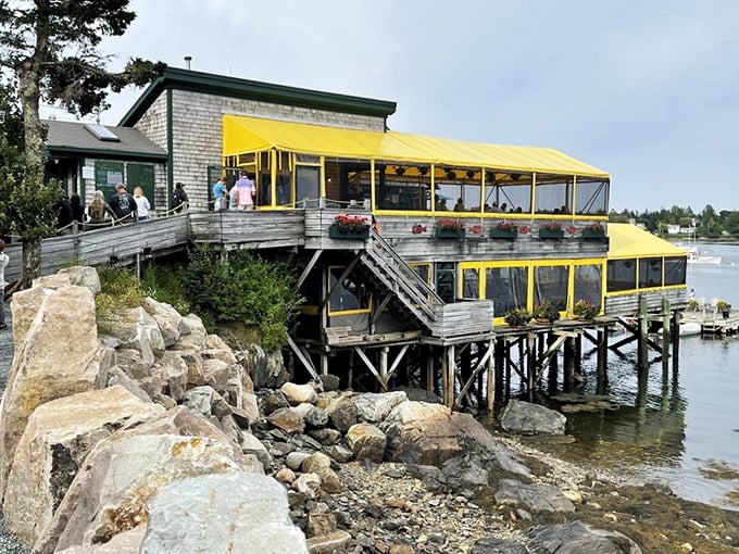 At Thurston's, lobsters go from sea to plate faster than you can say "Pass the butter!" Harbor views are complimentary.