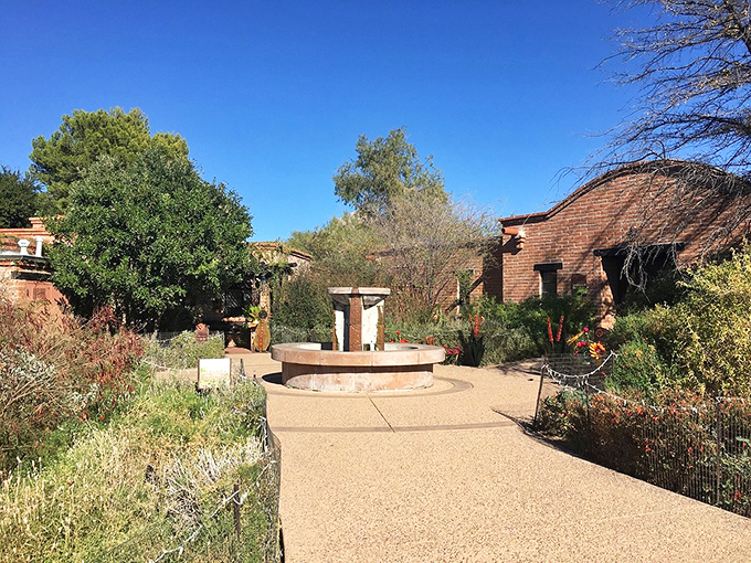 Horse play in the desert! This equine sculpture stands proud among the cacti, like a cowboy who took a wrong turn at Albuquerque.