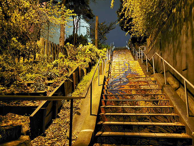 Night falls, but the magic rises. These illuminated steps are like a stairway to the stars, right in the heart of the city.