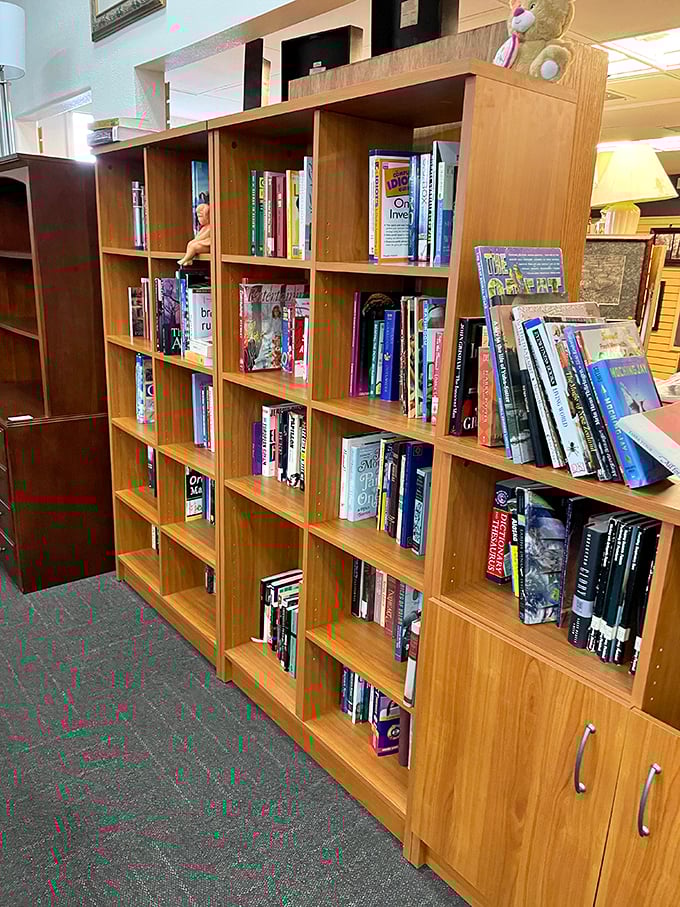 Bookworms, rejoice! This literary goldmine is like a library where you can keep the books forever. No late fees here!