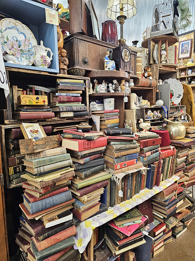 Forget e-books &ndash; this is a real page-turner! From dusty tomes to dog-eared paperbacks, it's a library where "checking out" means taking home.