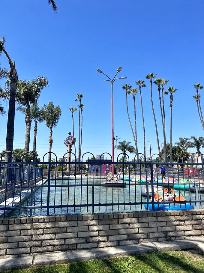 Splash into fun with these bumper boats! It's like bumper cars met synchronized swimming &ndash; chaotic, wet, and utterly delightful.