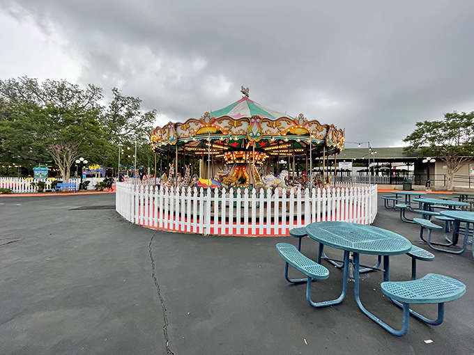 Round and round we go! This merry-go-round is serving up more nostalgia than your grandma's photo album.