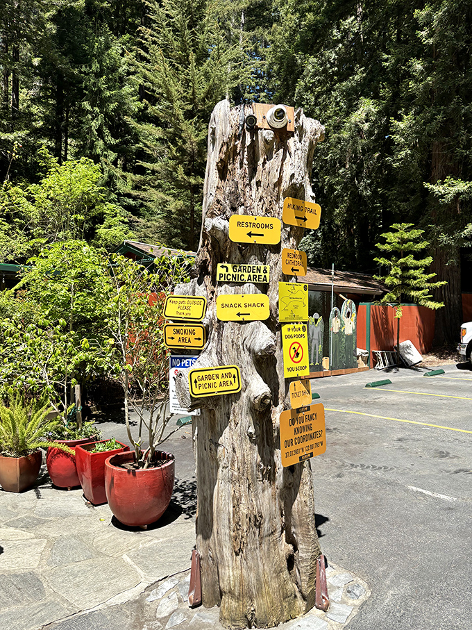 Lost in the woods? These quirky signs will point you in all the right (and wrong) directions.