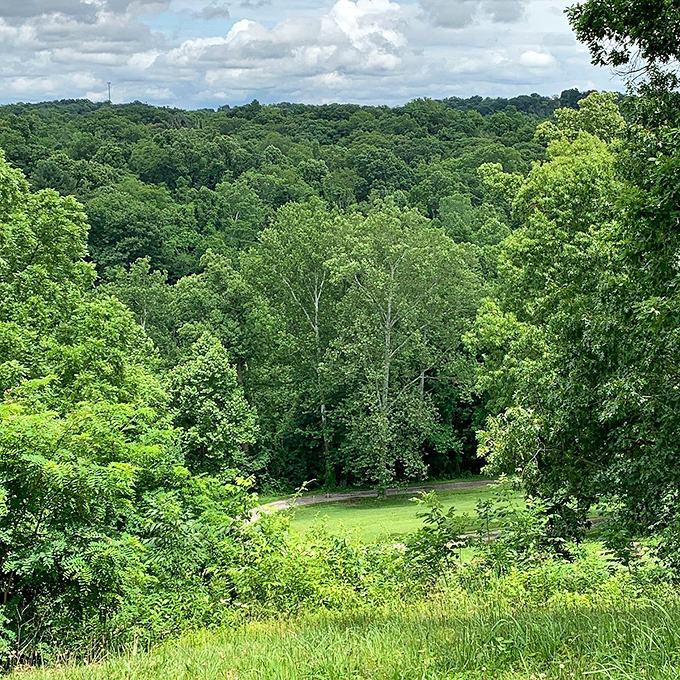 Mother Nature's showing off again! This verdant vista is like a Bob Ross painting come to life &ndash; happy little trees everywhere.