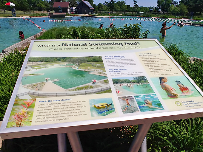 Knowledge is refreshing! This informative display turns your swim into a mini science lesson. Who knew ecology could be so cool&hellip; literally?