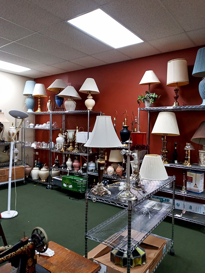 Illuminating deals! This lamp section could light up your life - and your wallet - with its dazzling array of options.