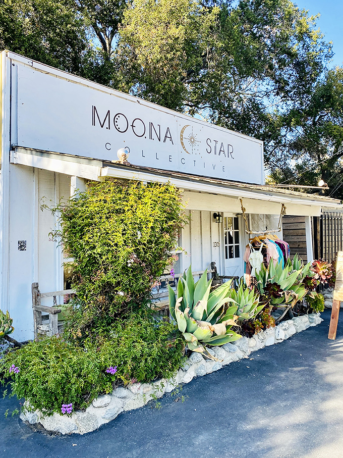 Moona Star Collective: Where cosmic vibes meet retail therapy. It's like your cool aunt's closet exploded into a boutique.