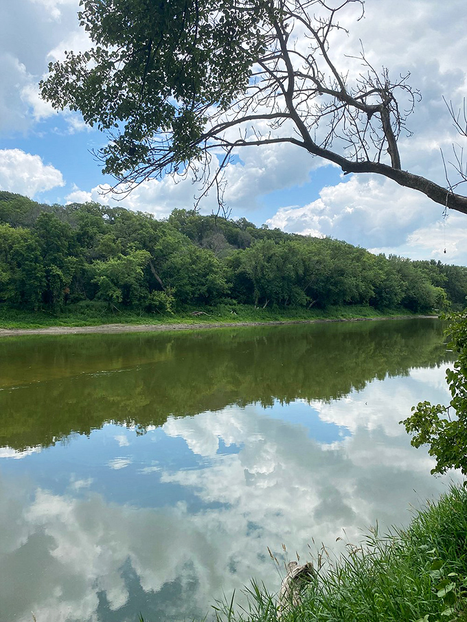 Paw-fect adventure awaits! This boardwalk isn't just for two-legged explorers. Fido's tail will wag more than a metronome on espresso.