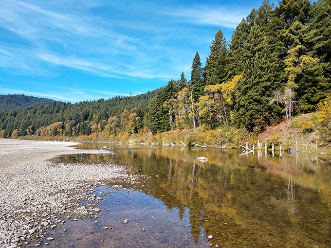 Mother Nature's infinity pool: This serene river view is like a Bob Ross painting come to life, minus the "happy little trees" - these ones are enormous!