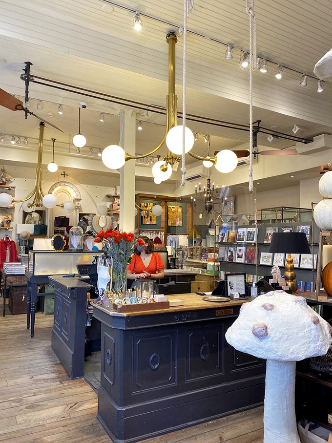 Where chandeliers meet charm. This isn't just shopping; it's a scene from a Wes Anderson film come to life.