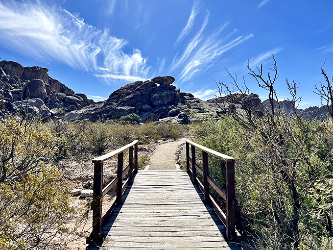 Follow the yellow brick... er, wooden road! This trail promises adventure with a side of splendid views.