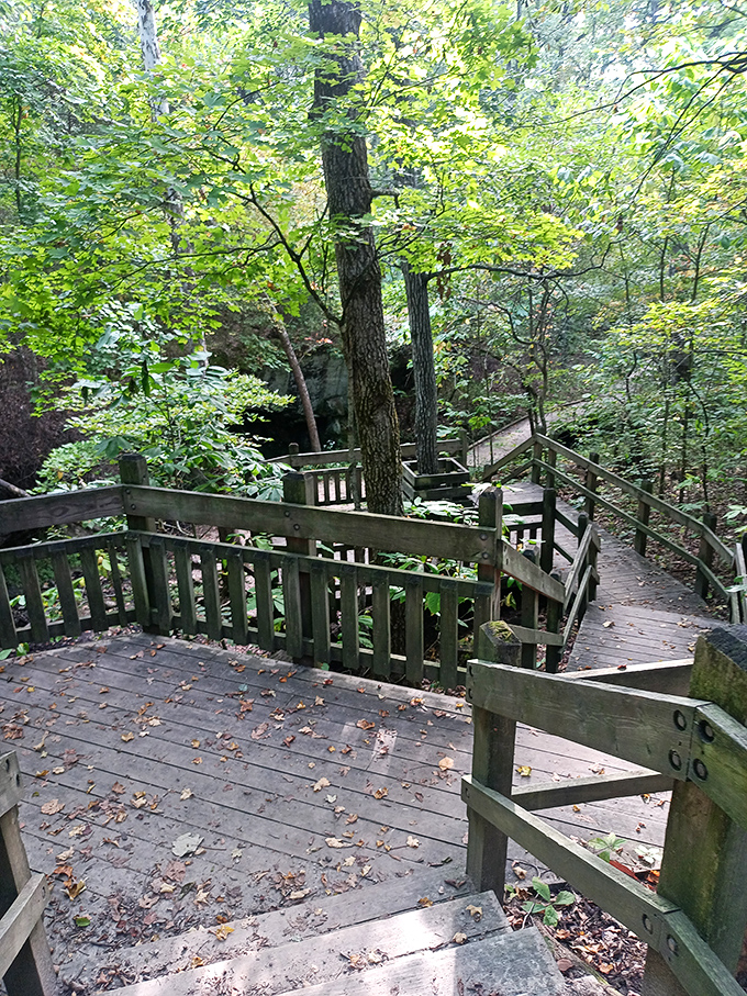 Stairway to prehistory: Follow these wooden steps into a world where every rock tells a story older than time.
