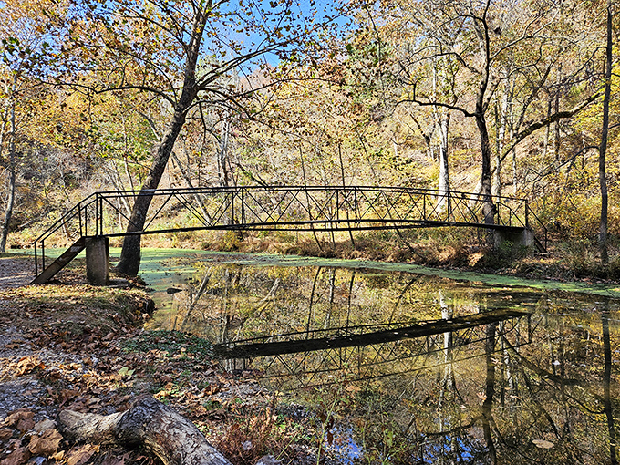 Bridge over tranquil waters: where you can play "Billy Goats Gruff" without disturbing the scenery.