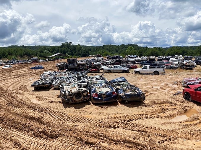Behold, the car graveyard! It's where sedans go to meet their maker and SUVs say their final goodbyes.