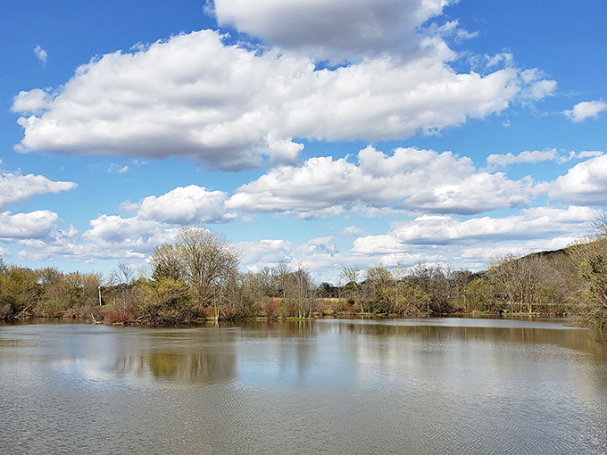 Butterfly Pond: nature's own infinity pool. A mirror-like surface reflects clouds that look good enough to eat &ndash; if you're a caterpillar.