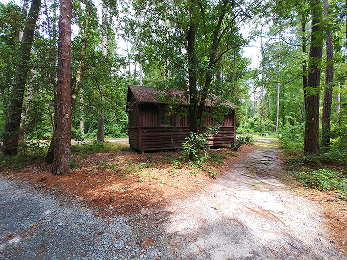 Goldilocks, eat your heart out! This cozy cabin in the woods is just right for your next rustic getaway. No bears included.