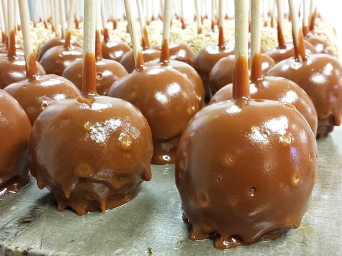 Caramel apples that put Snow White's to shame. One bite, and you'll be whistling while you work... on finishing the whole thing!